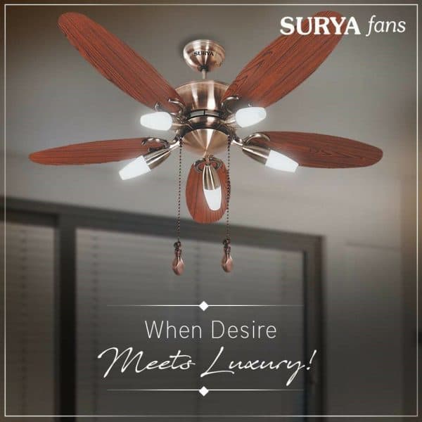 A complete range of Fans â€“ by Surya Fans - S
